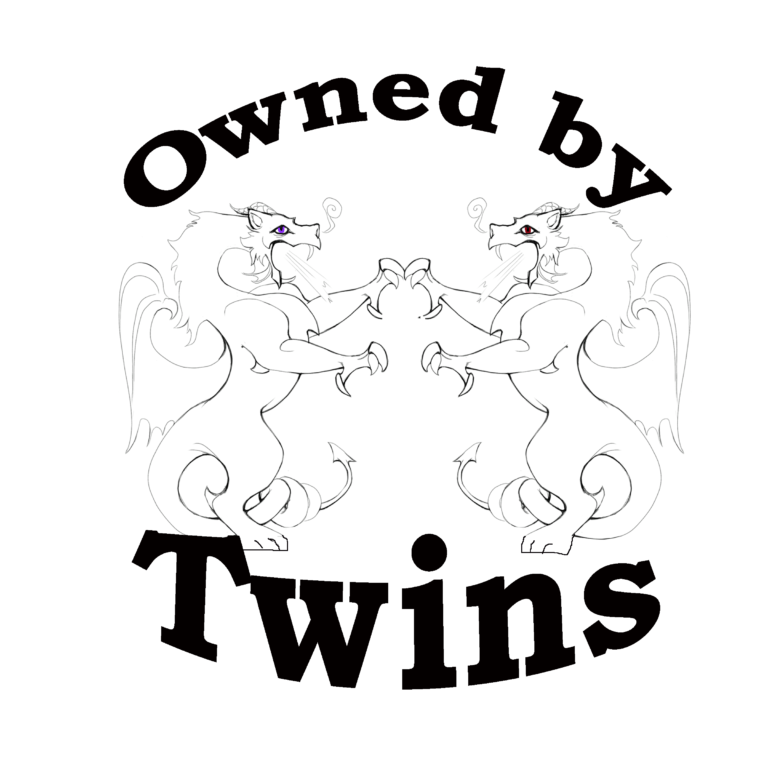 Owned By Twins – Handcrafted crafts and other oddities made with love ...